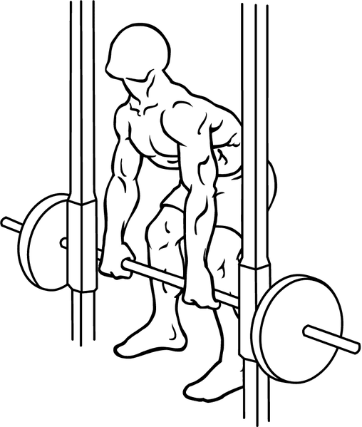 Deadlift at Planet fitness